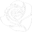 Why We Fight – White Rose Resistance
